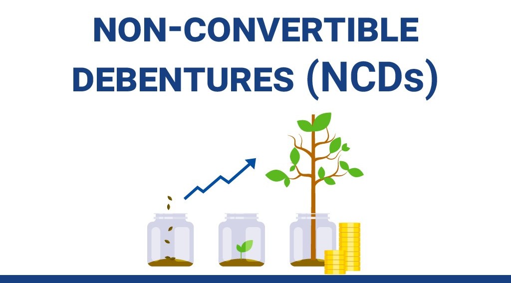 Non Convertible Debentures (NCDs)